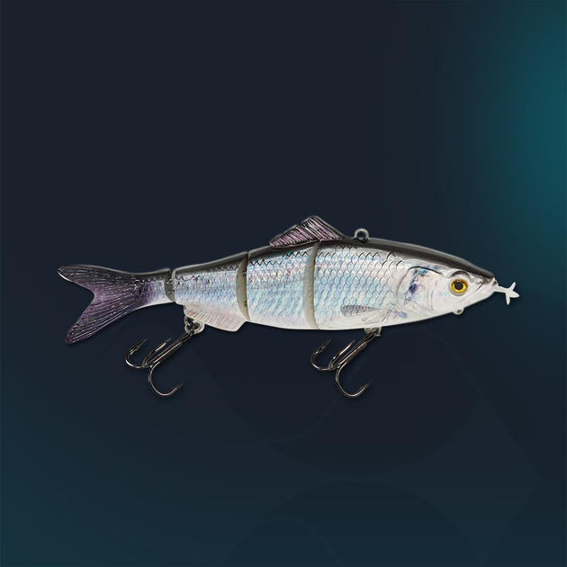 Premium Salt Water – Animated Lure