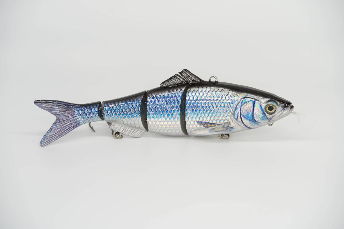 Atlantic Herring – Animated Lure