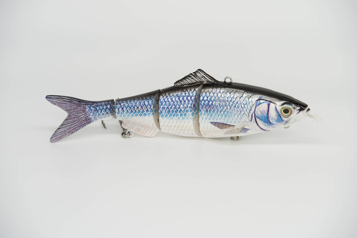Atlantic Herring Specialty – Animated Lure