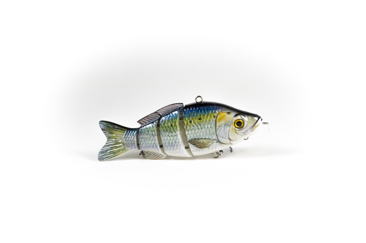 American Shad – Animated Lure