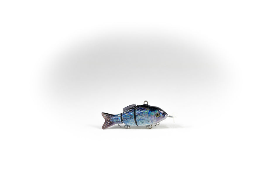 Products – Page 2 – Animated Lure