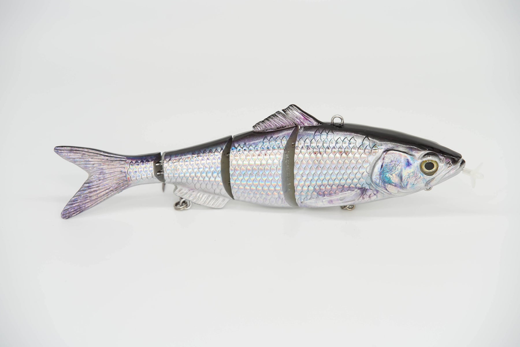 Hickory Shad Specialty – Animated Lure