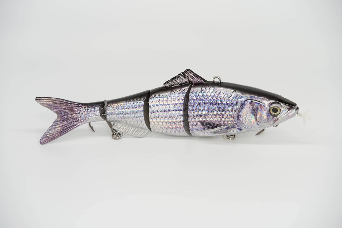 Mullet Specialty – Animated Lure