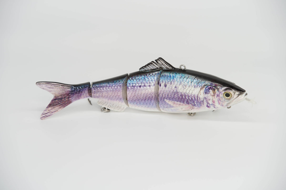 Sardine – Animated Lure