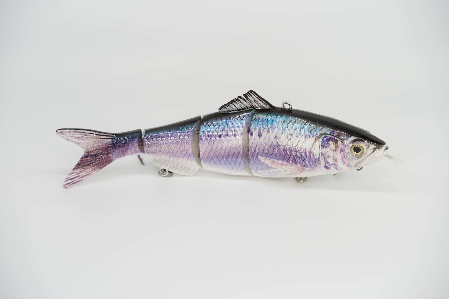 Sardine – Animated Lure